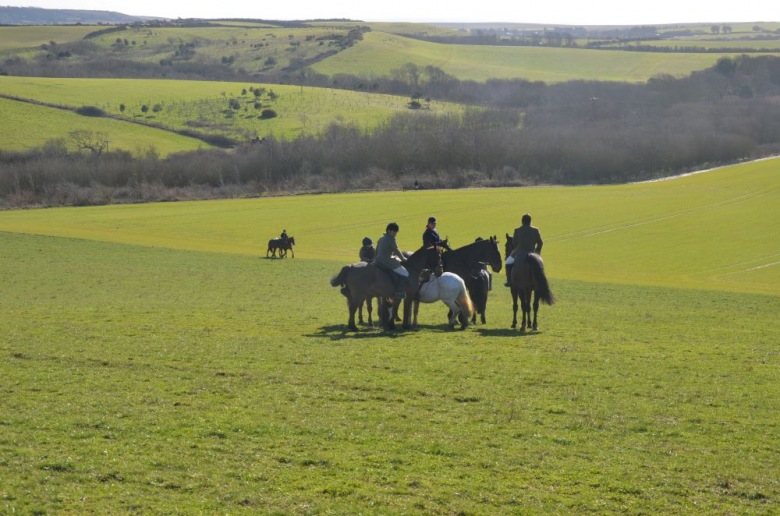Leycroft Farm Atherfield | Monday 15th February '16 | IW Foxhounds
