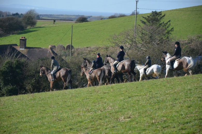 Leycroft Farm Atherfield | Monday 15th February '16 | IW Foxhounds